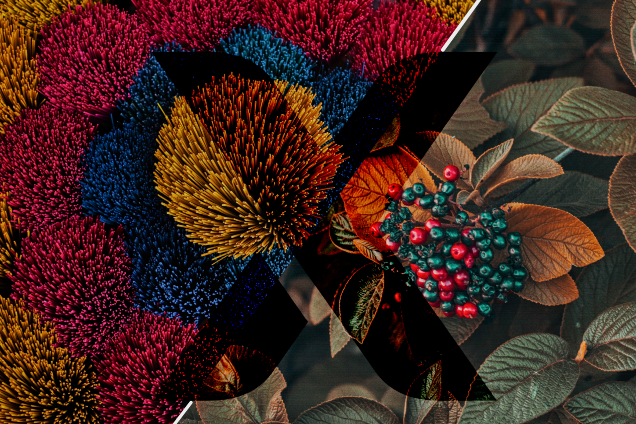 Herbst-Update 2022: Native RAW-Unterstützung, individuelle Einstellungen, Vollbildmodus und mehr ...