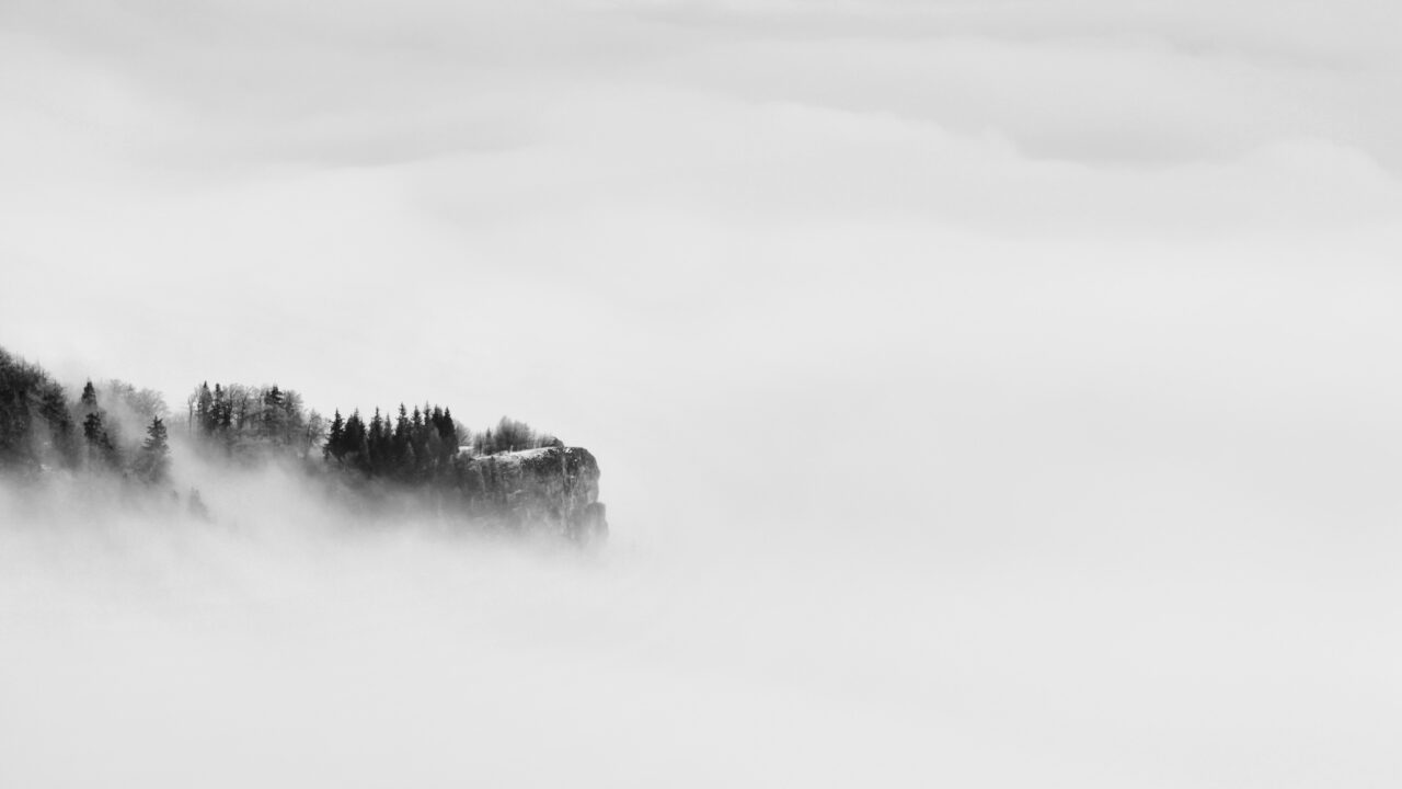 Farbe Weiß | Fotografieren lernen von Zoner Photo Studio