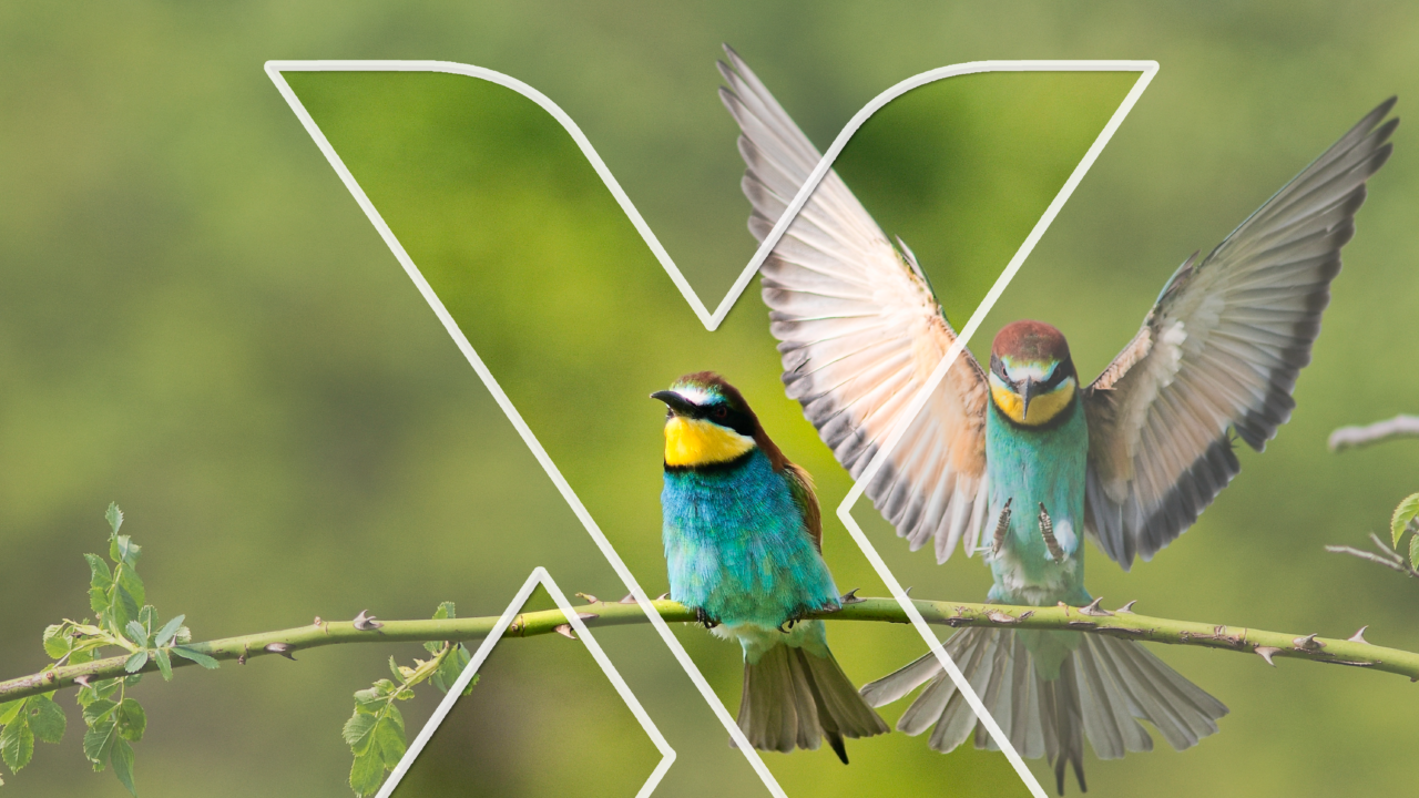 Zoner Studio Frühjahrs-Update 2024: Bringen Sie Ihre Fotos mit HDR zum Strahlen | Fotografieren ...